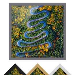 Bilderwelten Bild mit Rahmen Serpentine im Transsilvanischen Wald