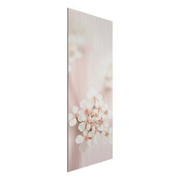 Alu Dibond Outdoor Bild - Minibl&uuml;ten im Rosanen Licht - Blumen beige Motiv wetterfest Kirschbl&uuml;te Wohnzimmer Schlafzimmer