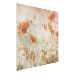 Alu Dibond Outdoor Bild - Mohnblumen und Gr&auml;ser im Feld - beige Motiv wetterfest Mohn Wohnzimmer Schlafzimmer
