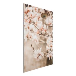 Alu Dibond Outdoor Bild - Magnolienzweige im Vintagestil - Wald braun Vintage wetterfest B&auml;ume Wohnzimmer Schlafzimmer