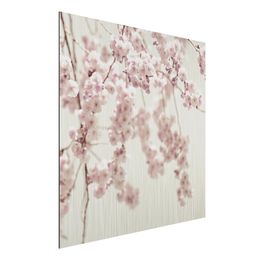 Alu Dibond Outdoor Bild - Kirschbl&uuml;tentanz - Blumen weiss Motiv wetterfest Kirschbl&uuml;te Wohnzimmer Schlafzimmer