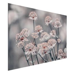 Alu Dibond Outdoor Bild - Mystischer Bl&uuml;tenstrauch - Blumen braun Landhaus wetterfest Gr&auml;ser Wohnzimmer Schlafzimmer