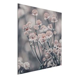 Bilderwelten Alu Dibond Outdoor Bild Blumen braun Landhaus wetterfest - Mystischer Bl&uuml;tenstrauch - Gr&auml;ser Wohnzimmer Schlafzimmer