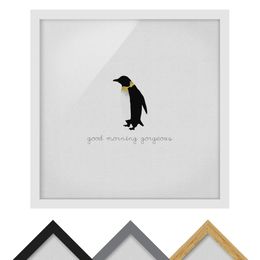 Bilderwelten Bild mit Rahmen Pinguin Zitat Good Morning Gorgeous