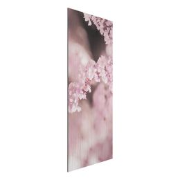 Alu Dibond Outdoor Bild - Kirschbl&uuml;te im Violetten Licht - Blumen braun Motiv wetterfest Kirschbl&uuml;te Wohnzimmer Schlafzimmer