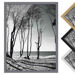 Bilderwelten Bild mit Rahmen B&auml;ume an der Ostsee