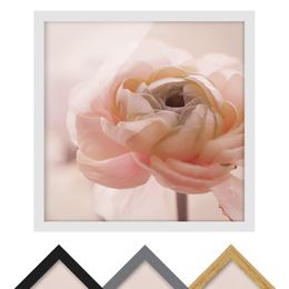 Bilderwelten Bild mit Rahmen Rosa Bl&uuml;te im Fokus
