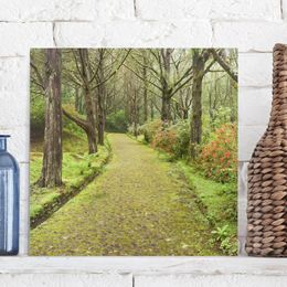 Bilderwelten Leinwandbild Wald Motiv Kunstdruck Leinwanddruck - Moosbewachsene Stra&szlig;e - B&auml;ume XXL Wohnzimmer Schlafzimmer
