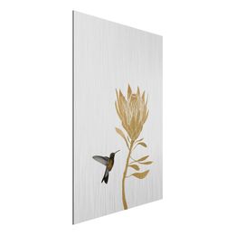Alu Dibond Outdoor Bild - Kolibri und tropische goldene Bl&uuml;te - Tiere gold Tropisch wetterfest Pflanzen Wohnzimmer Schlafzimmer