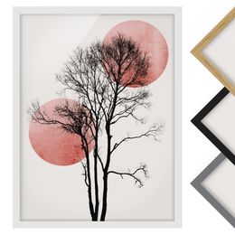 Bilderwelten Bild mit Rahmen Baum im Nachthimmel