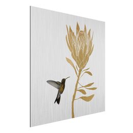 Alu Dibond Outdoor Bild - Kolibri und tropische goldene Bl&uuml;te - Tiere gold Tropisch wetterfest Pflanzen Wohnzimmer Schlafzimmer