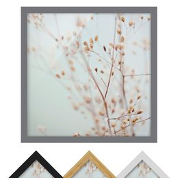 Bilderwelten Bild mit Rahmen Pastellknospen am Wildblumenzweig