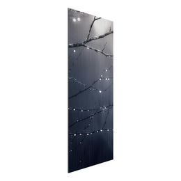 Alu Dibond Outdoor Bild - Lichttropfen am Birkenzweig - Wald blau Motiv wetterfest B&auml;ume Wohnzimmer Schlafzimmer