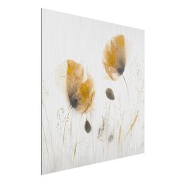 Bilderwelten Alu Dibond Outdoor Bild weiss Motiv wetterfest - Mohnblumen und zarte Gr&auml;ser im weichen Nebel - Mohn Wohnzimmer Schlafzimmer