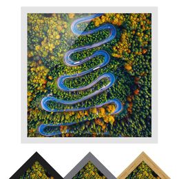Bilderwelten Bild mit Rahmen Serpentine im Transsilvanischen Wald