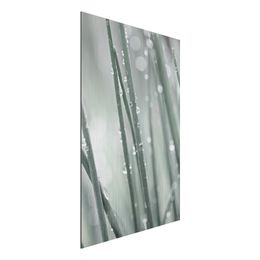 Alu Dibond Outdoor Bild - Makroaufnahme Wasserperlen am Gras - Blumen gr&uuml;n Landhaus wetterfest Gr&auml;ser Wohnzimmer Schlafzimmer