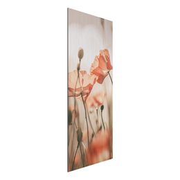 Bilderwelten Alu Dibond Outdoor Bild Blumen rot Motiv wetterfest - Mohnbl&uuml;ten im Sommerwind - Mohn Wohnzimmer Schlafzimmer