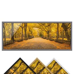 Bilderwelten Bild mit Rahmen Herbst im Central Park