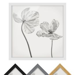 Bilderwelten Bild mit Rahmen Blumen schwarz weiss Landhaus inkl. Rahmung - Zwei zarte wei&szlig;e Tulpen - Deko Wohnzimmer Schlafzimmer