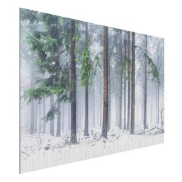 Bilderwelten Alu Dibond Outdoor Bild Wald gr&uuml;n Motiv wetterfest - Nadelb&auml;ume im Winter - B&auml;ume Wohnzimmer Schlafzimmer