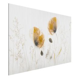 Bilderwelten Alu Dibond Outdoor Bild weiss Motiv wetterfest - Mohnblumen und zarte Gr&auml;ser im weichen Nebel - Mohn Wohnzimmer Schlafzimmer