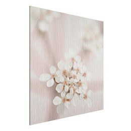 Alu Dibond Outdoor Bild - Minibl&uuml;ten im Rosanen Licht - Blumen beige Motiv wetterfest Kirschbl&uuml;te Wohnzimmer Schlafzimmer