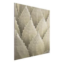 Alu Dibond Outdoor Bild - Organische Elemente - beige Tropisch wetterfest Pflanzen Wohnzimmer Schlafzimmer