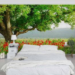 Bilderwelten Tapete von - Fototapete Sommerwiese Natur & Landschaften Schlafzimmer Wohnzimmer - auch selbstklebend