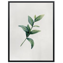 Bilderwelten Leinwandbild Aquarell Eucalyptus II