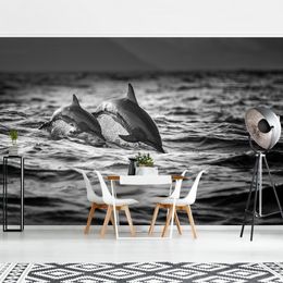 Bilderwelten Fototapete Tiere Motiv Wandtapete schwarz weiss - Zwei springende Delfine - Fische Wohnzimmer Schlafzimmer