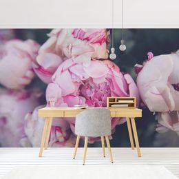 Bilderwelten Fototapete Pfingstrosenbl&uuml;te Shabby