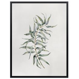 Bilderwelten Leinwandbild Aquarell Eucalyptus IV