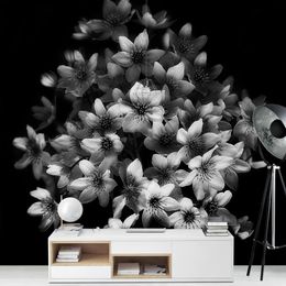 Bilderwelten Fototapete Blumen Motiv Wandtapete schwarz weiss - Dunkler Clematis Strau&szlig; - Deko Wohnzimmer Schlafzimmer
