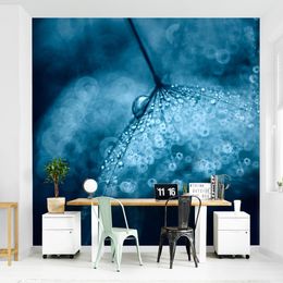 Bilderwelten Fototapete Blaue Pusteblume im Regen