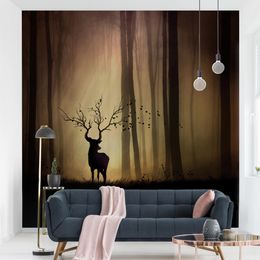 Fototapete Wald Der Herr des Waldes