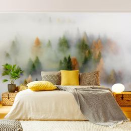 Bilderwelten Fototapete Wald Motiv Wandtapete grau - Nebelwald im Herbst - B&auml;ume Wohnzimmer Schlafzimmer