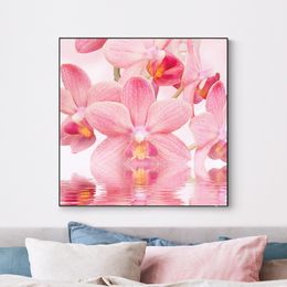 Wechselbild Rosa Orchideen auf Wasser