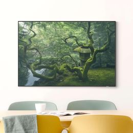 Wechselbild Magischer Baum