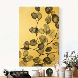 Bilderwelten Leinwandbild Schwarz Wei&szlig; Aquarell Eukalyptuszweig