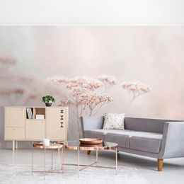 Bilderwelten Fototapete Zartrosane Wildblumen