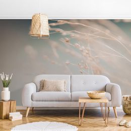 Bilderwelten Fototapete Blumen Landhaus Wandtapete beige - Mein Miniaturgarten - Gr&auml;ser Wohnzimmer Schlafzimmer