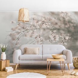 Bilderwelten Fototapete F&uuml;r immer Fr&uuml;hling