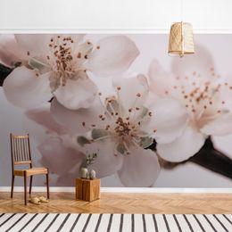 Bilderwelten Fototapete Blumen Landhaus Wandtapete rosa - Im Herzen der Bl&uuml;te - Kirschbl&uuml;te Wohnzimmer Schlafzimmer