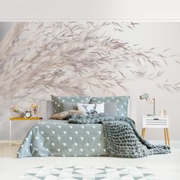 Bilderwelten Fototapete Blumen Landhaus Wandtapete beige - Wiesengras Close Up - Gr&auml;ser Wohnzimmer Schlafzimmer