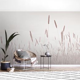 Bilderwelten Fototapete Blumen Landhaus Wandtapete beige - Sommerliches Schilfgras - Gr&auml;ser Wohnzimmer Schlafzimmer