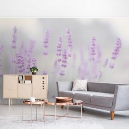 Bilderwelten Fototapete Blumen Landhaus Wandtapete violett - Sommer im Lavendelfeld - Deko Wohnzimmer Schlafzimmer