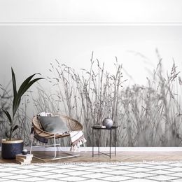 Bilderwelten Fototapete Blumen Landhaus Wandtapete beige - Winterliche Gr&auml;ser - Gr&auml;ser Wohnzimmer Schlafzimmer