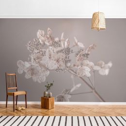 Bilderwelten Fototapete Blumen Landhaus Wandtapete beige - Zarte wei&szlig;e Hortensie - Deko Wohnzimmer Schlafzimmer