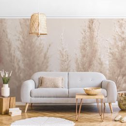 Bilderwelten Fototapete Blumen Landhaus Wandtapete beige - Goldenes Pampasgras Close Up - Gr&auml;ser Wohnzimmer Schlafzimmer