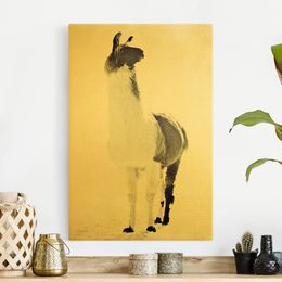 Bilderwelten Leinwandbild Fluffiges Lama